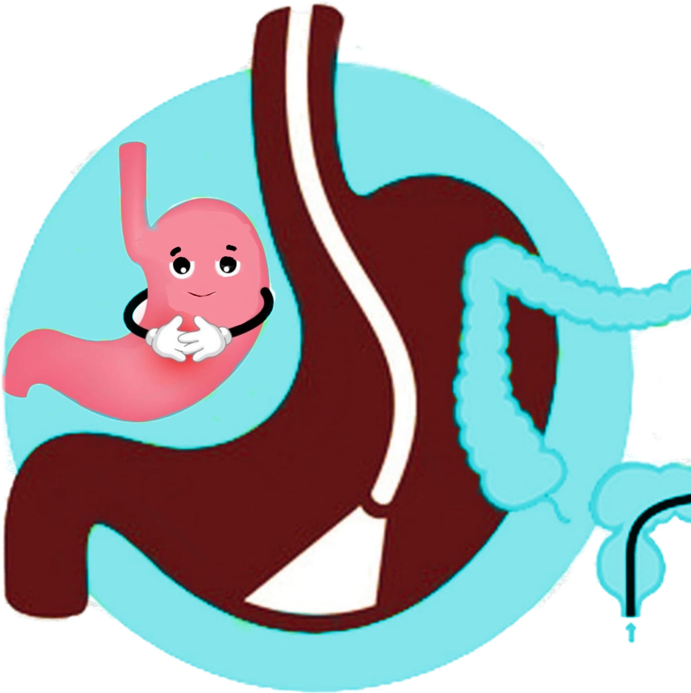 Campaña Endoscopia Digestiva - Dr. Juan H. Valdivia Guiteras ...