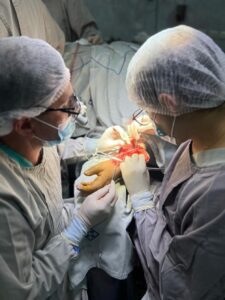 Primera Cirugía Exitosa De Injerto Vascular Doble En Bolivia - Centro De Cirugía Bucal Y ...